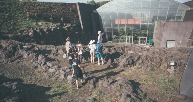 Terror Raptor - Riot House, Riot House